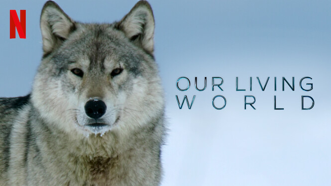 Is 'Our Living World' on Netflix UK? Where to Watch the Documentary ...
